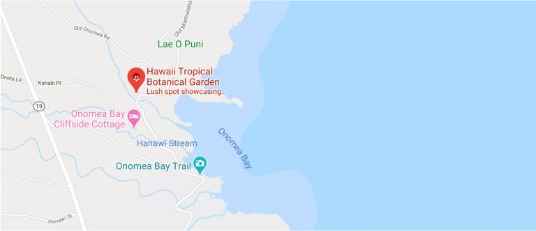 Things To Do With Kids Near Me Now | HTBG | Contact