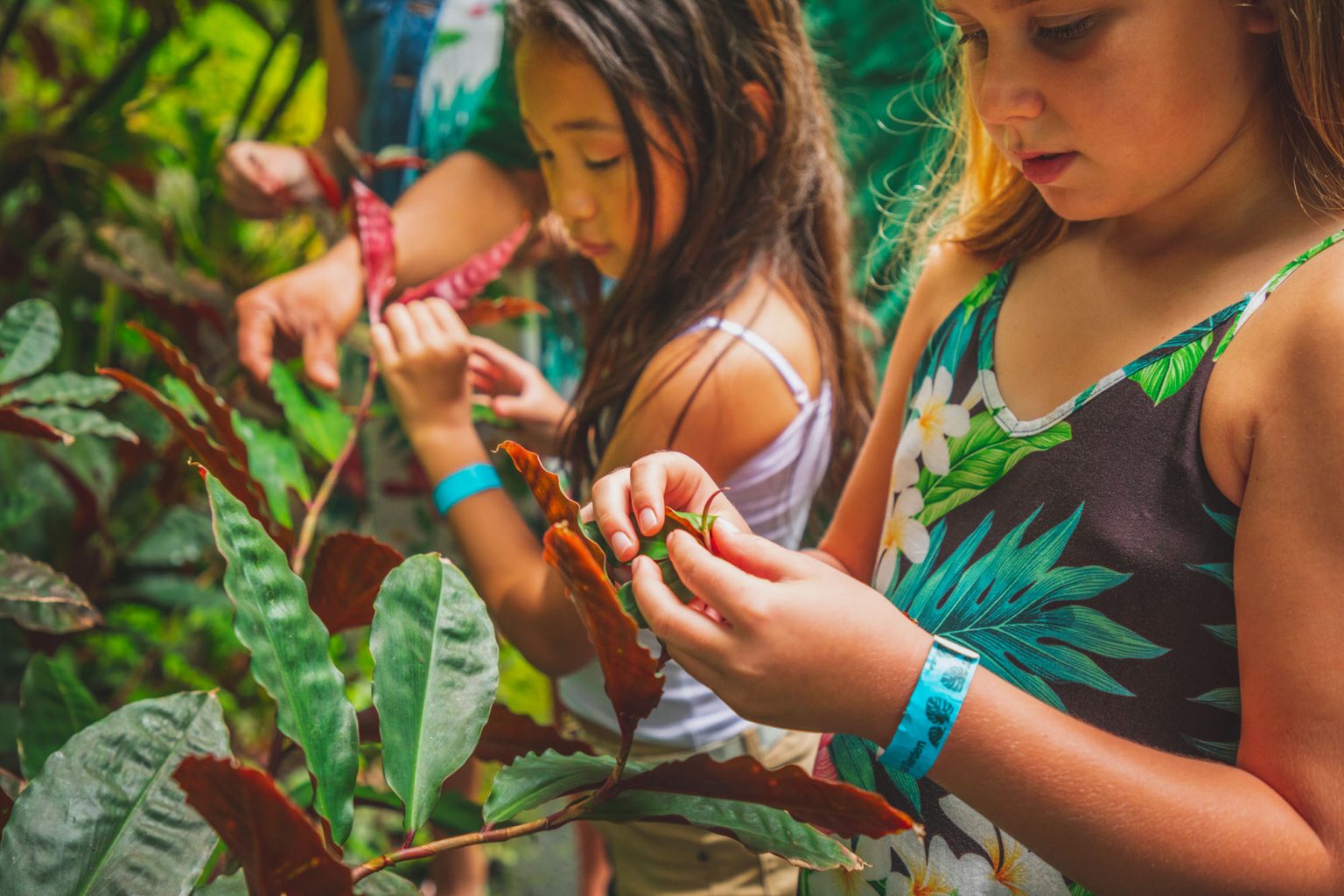 PLAN YOUR VISIT – Hawaii Tropical Botanical Garden