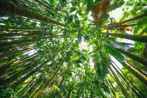 Walking Tours In Nature | Plan Your Visit To The HTBG