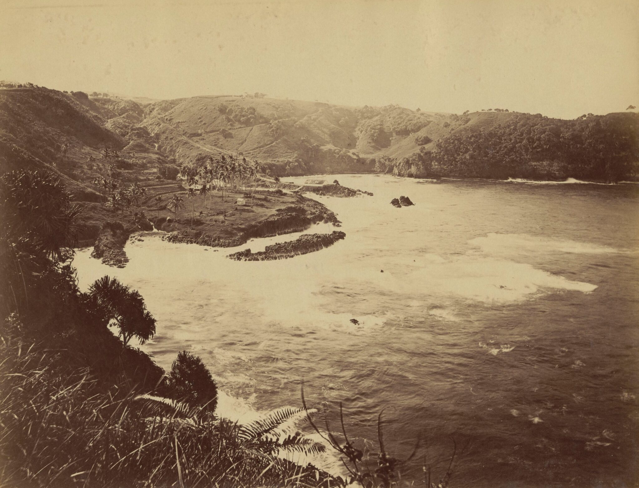 ONOMEA BAY – Hawaii Tropical Botanical Garden